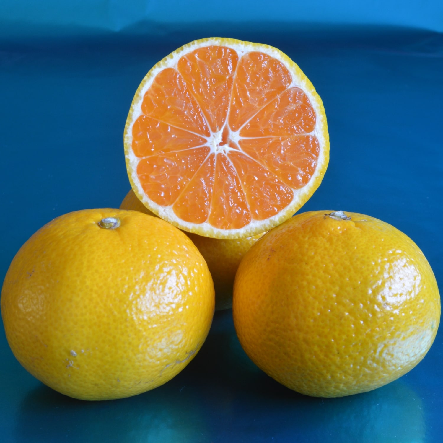 okitsu - Chicas Barra